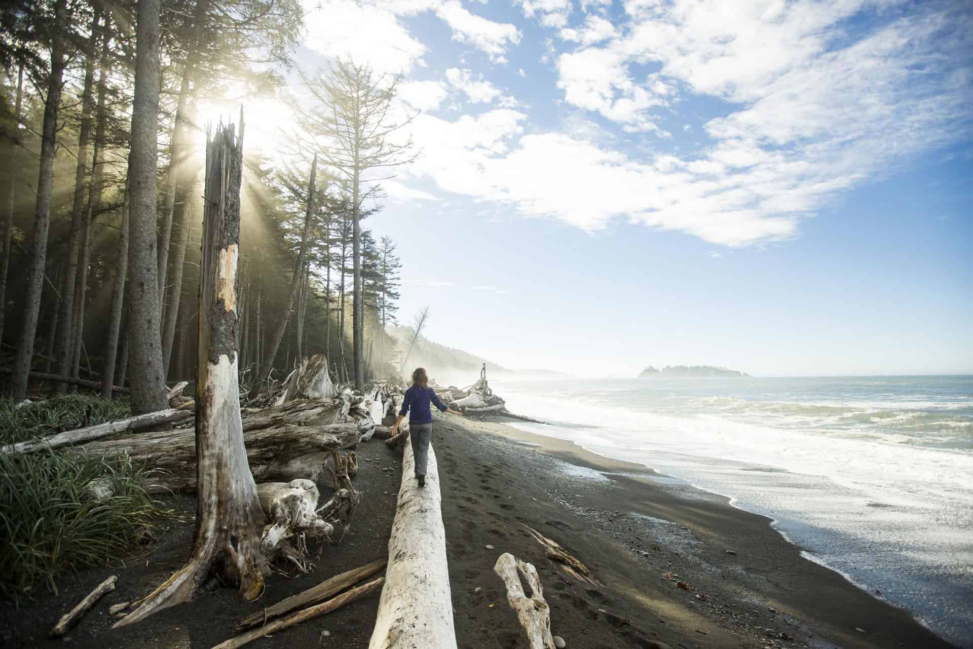 Pacific Northwest Olympic Peninsula Explorer - CAL Travel and Tours
